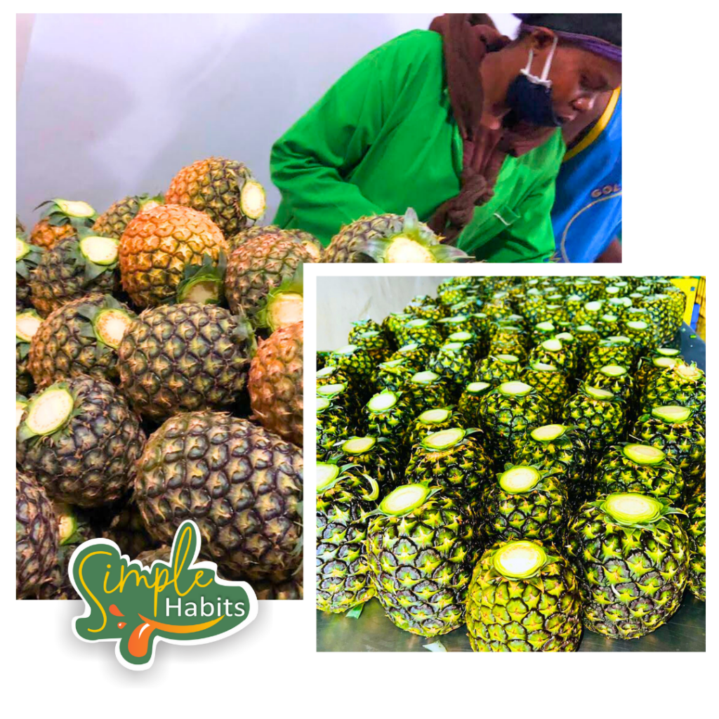 Pineapple Exporters In Kenya | 100% Guaranteed Fresh & Juicy Pineapples ...