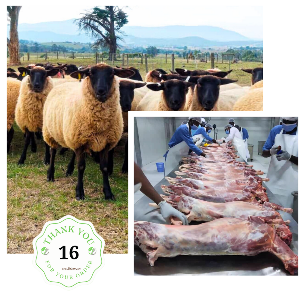 Top 10 Most Reliable Meat Exporters In Kenya – Dairaan